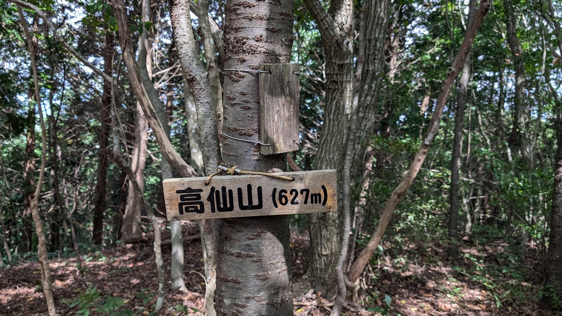 くまんど山・高仙山をぶらり🐶 / いぬsunさんの矢筈山・女体山の活動データ | YAMAP / ヤマップ