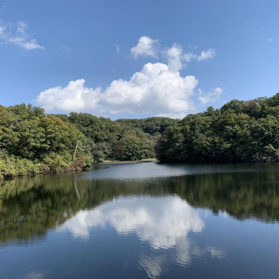 いきいきランド交野〜国見山・交野山（FDG交野が原） / Kane Kenさんの交野山・国見山の活動データ | YAMAP / ヤマップ