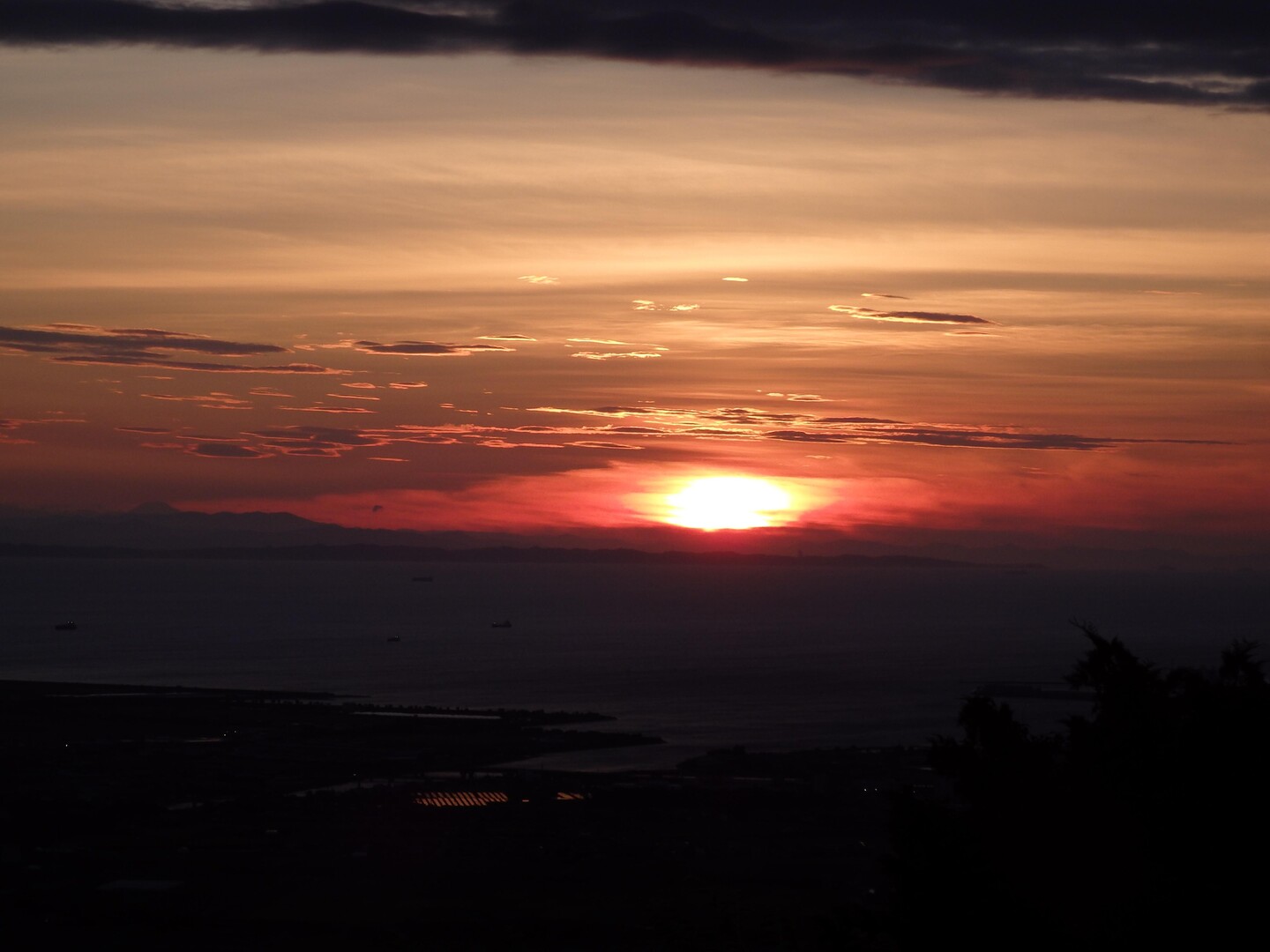 桝形山【312.3m】浄眼寺・中尾根A周回ｺｰｽ / さとちゃんさんの堀坂山・観音岳・桝形山（白米城）の活動データ | YAMAP / ヤマップ
