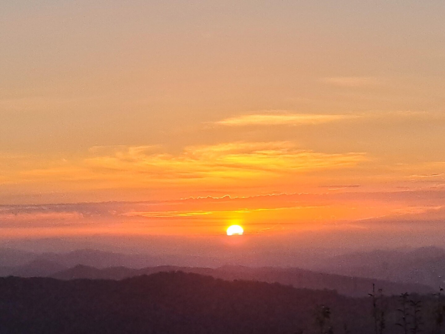 今朝の御来光🌄福山No.126 / はるちゃんさんの福山・江田山・高鳥居山の活動日記 | YAMAP / ヤマップ