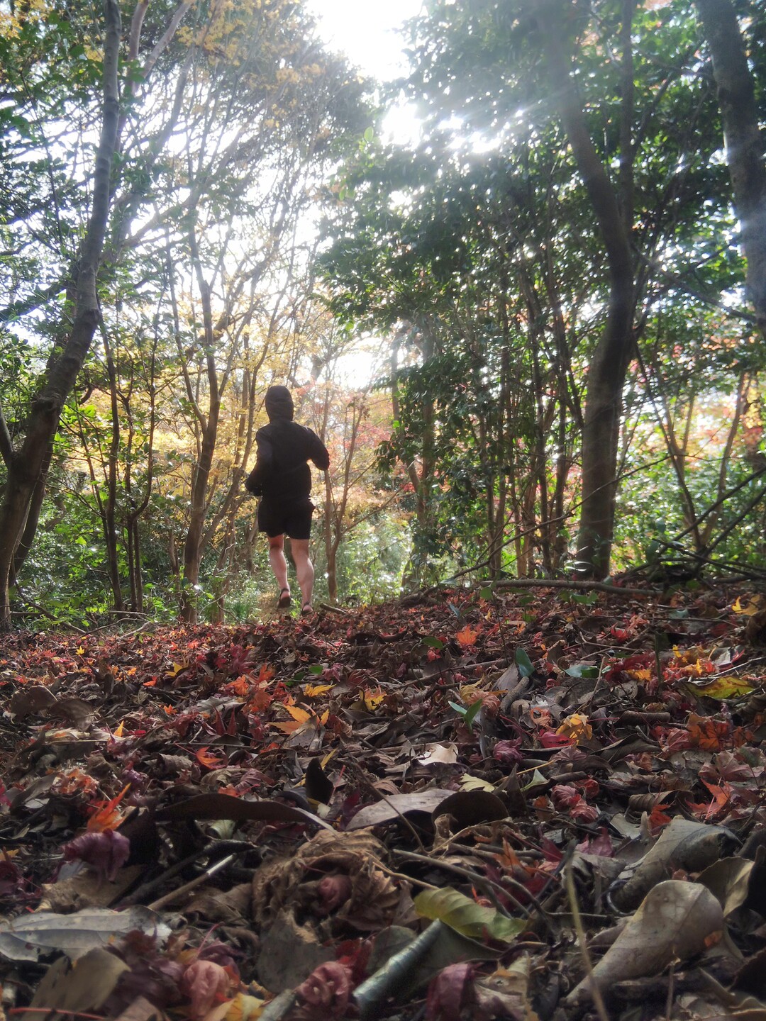 Shinのページ | YAMAP / ヤマップ