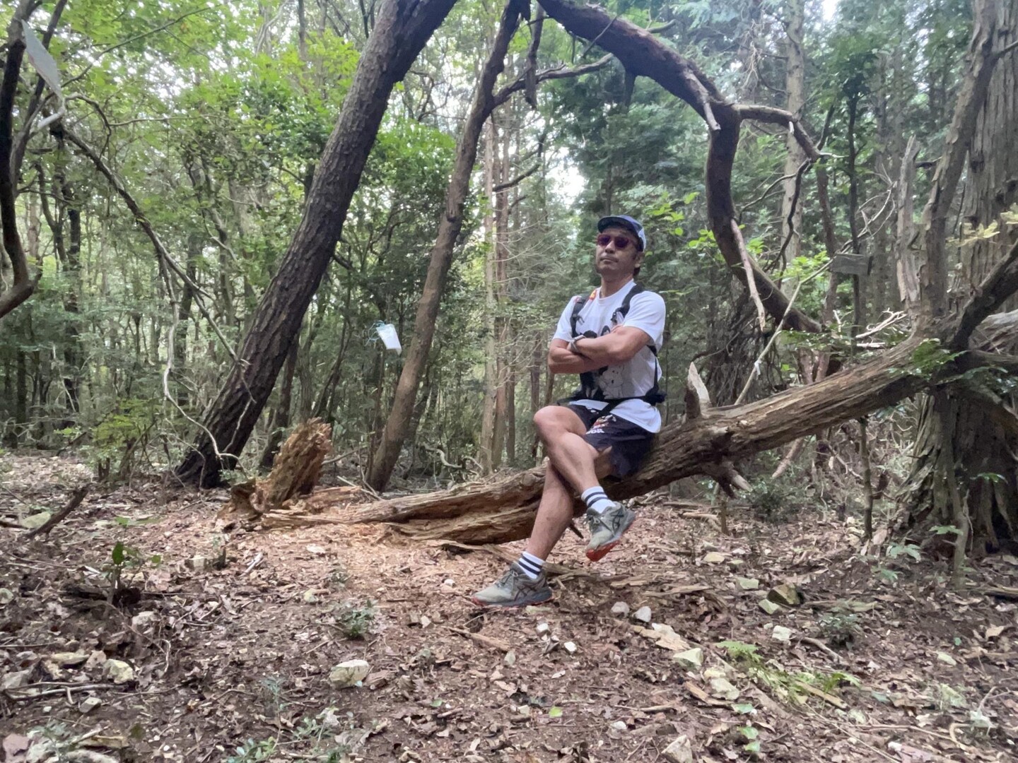 江ノ藤山・土山・大積山-2023-10-08 / syupyさんの鉢巻山・烏帽子岩山・灰ヶ峰の活動データ | YAMAP / ヤマップ