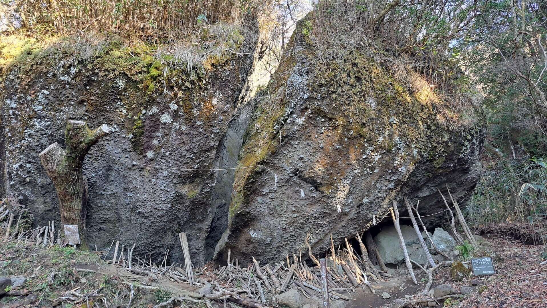 金時山・長尾山 / el28さんの金時山・明神ヶ岳の活動データ | YAMAP / ヤマップ