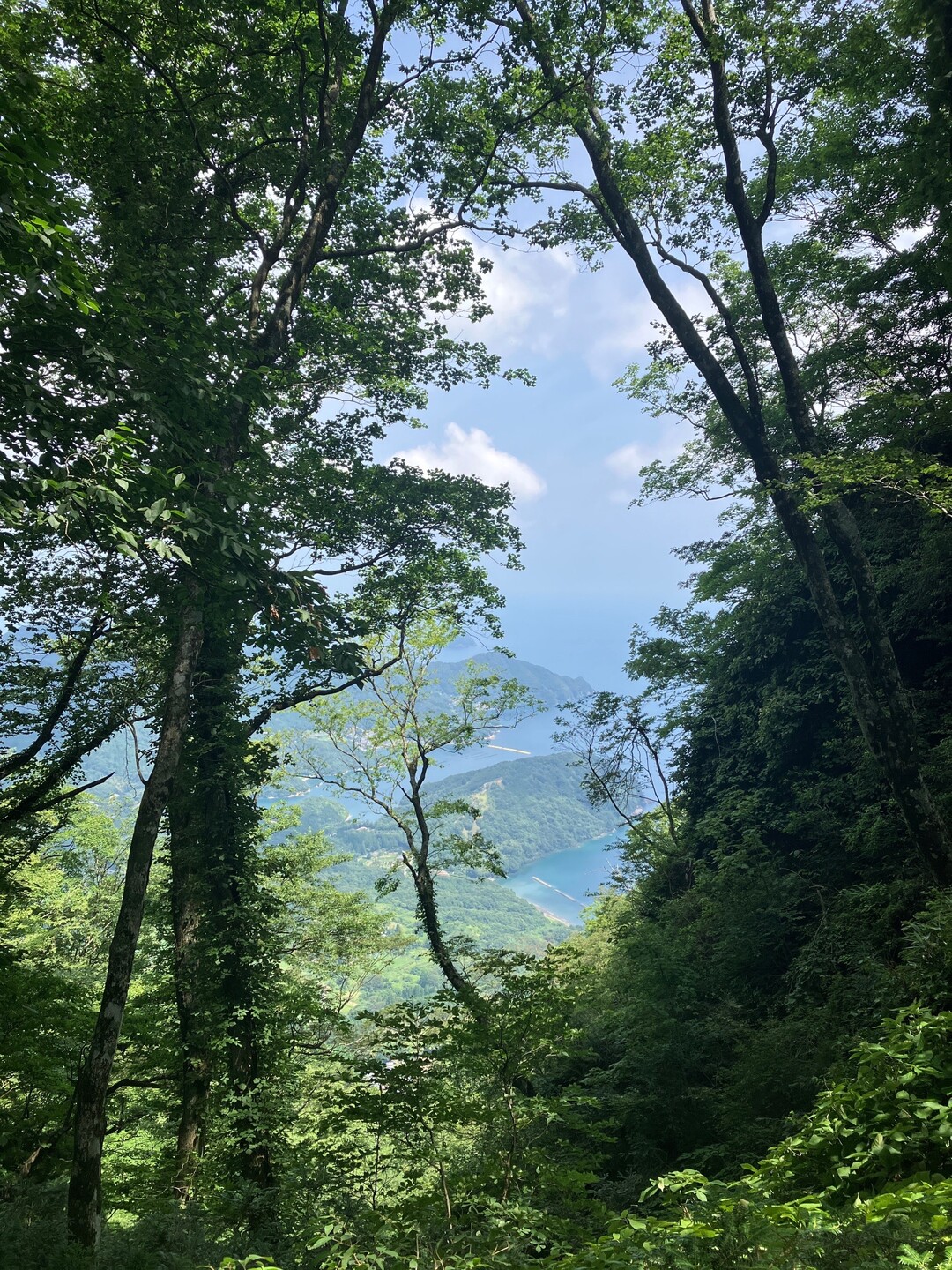 雨上がりの青葉山(西峰) / すずたろさんの青葉山の活動データ | YAMAP / ヤマップ