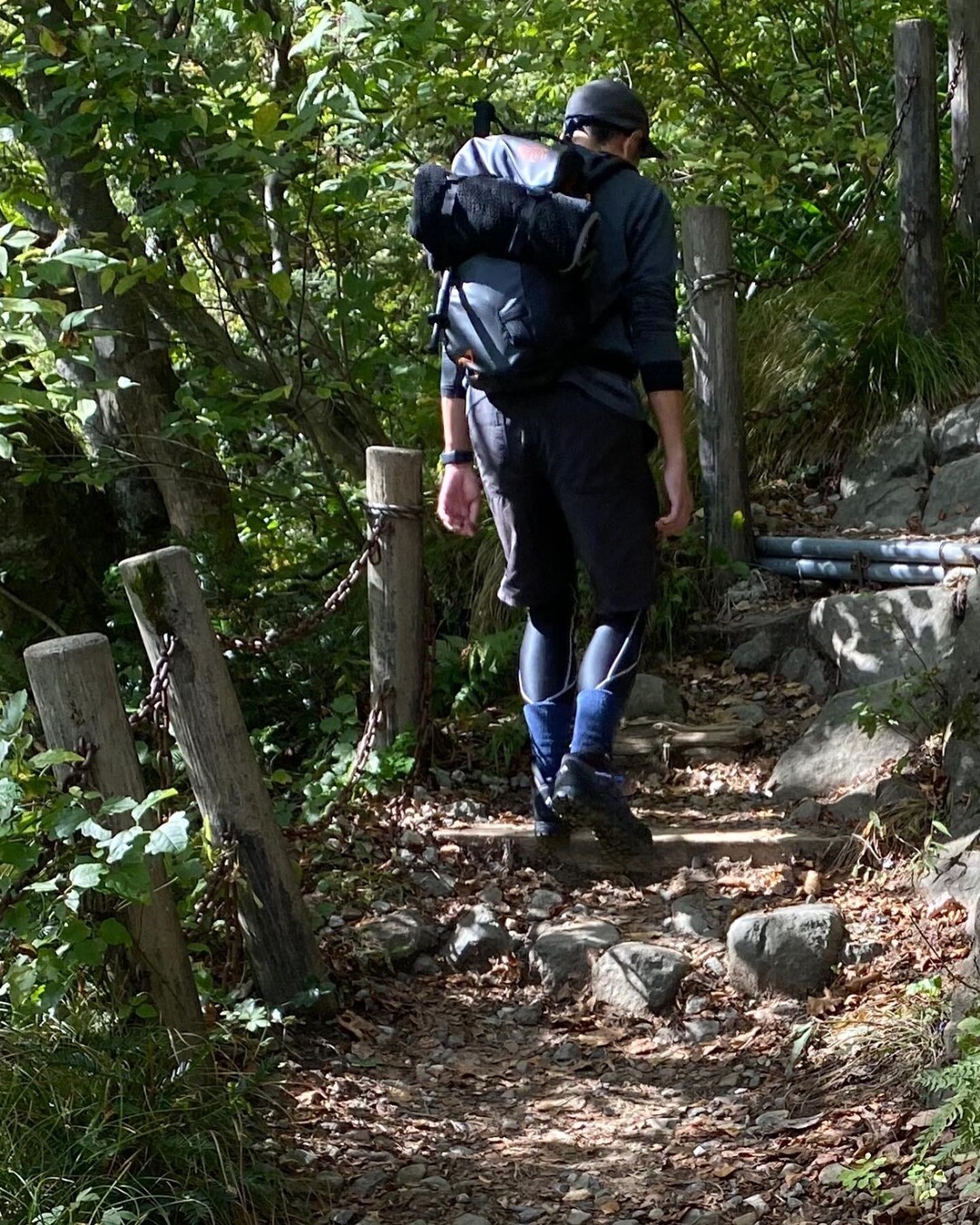 弥彦山 / YOCCHIさんの弥彦山・多宝山・雨乞山の活動データ | YAMAP / ヤマップ
