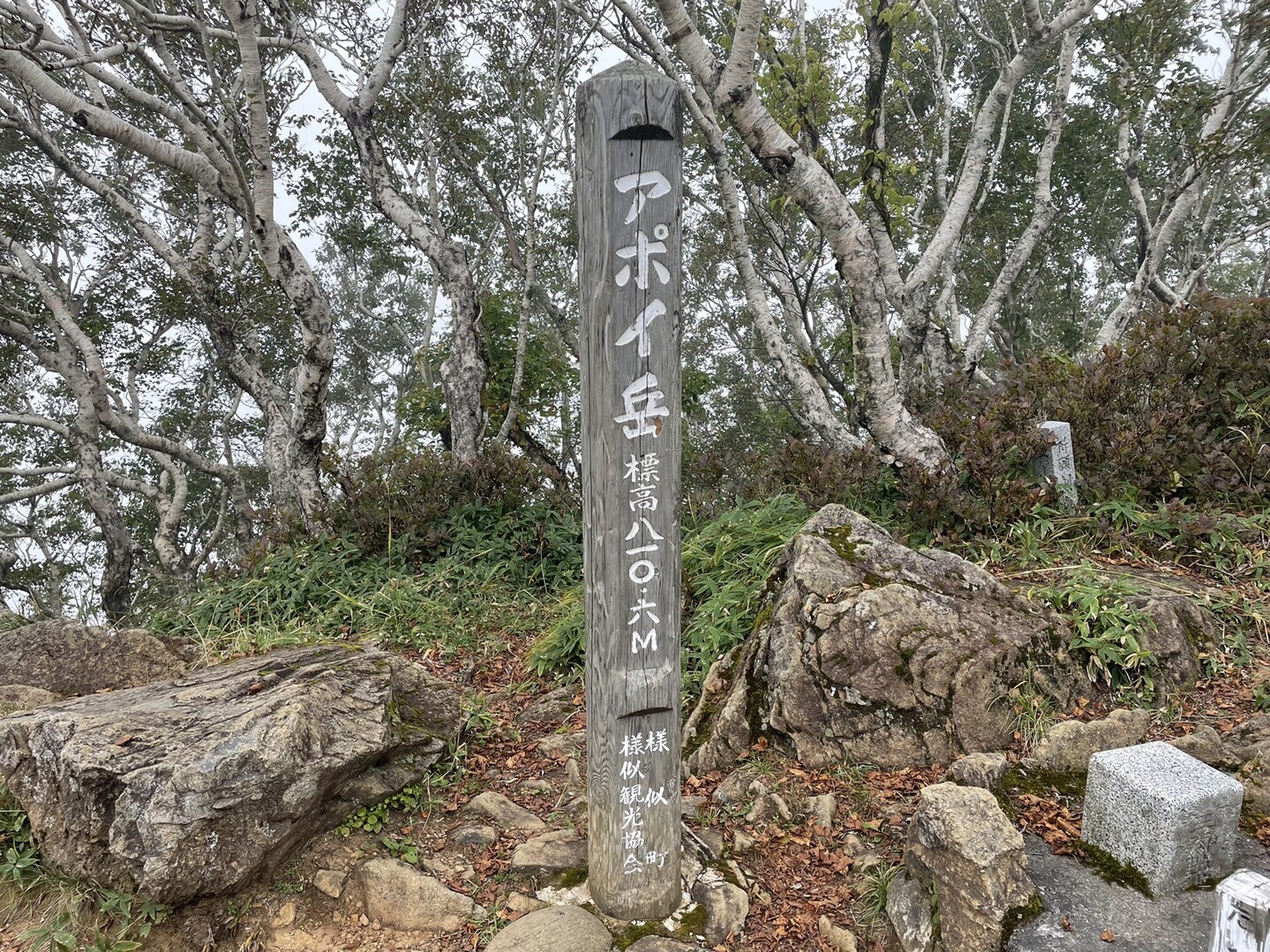 アポイ岳 / YRPのビさんのアポイ岳の活動データ | YAMAP / ヤマップ