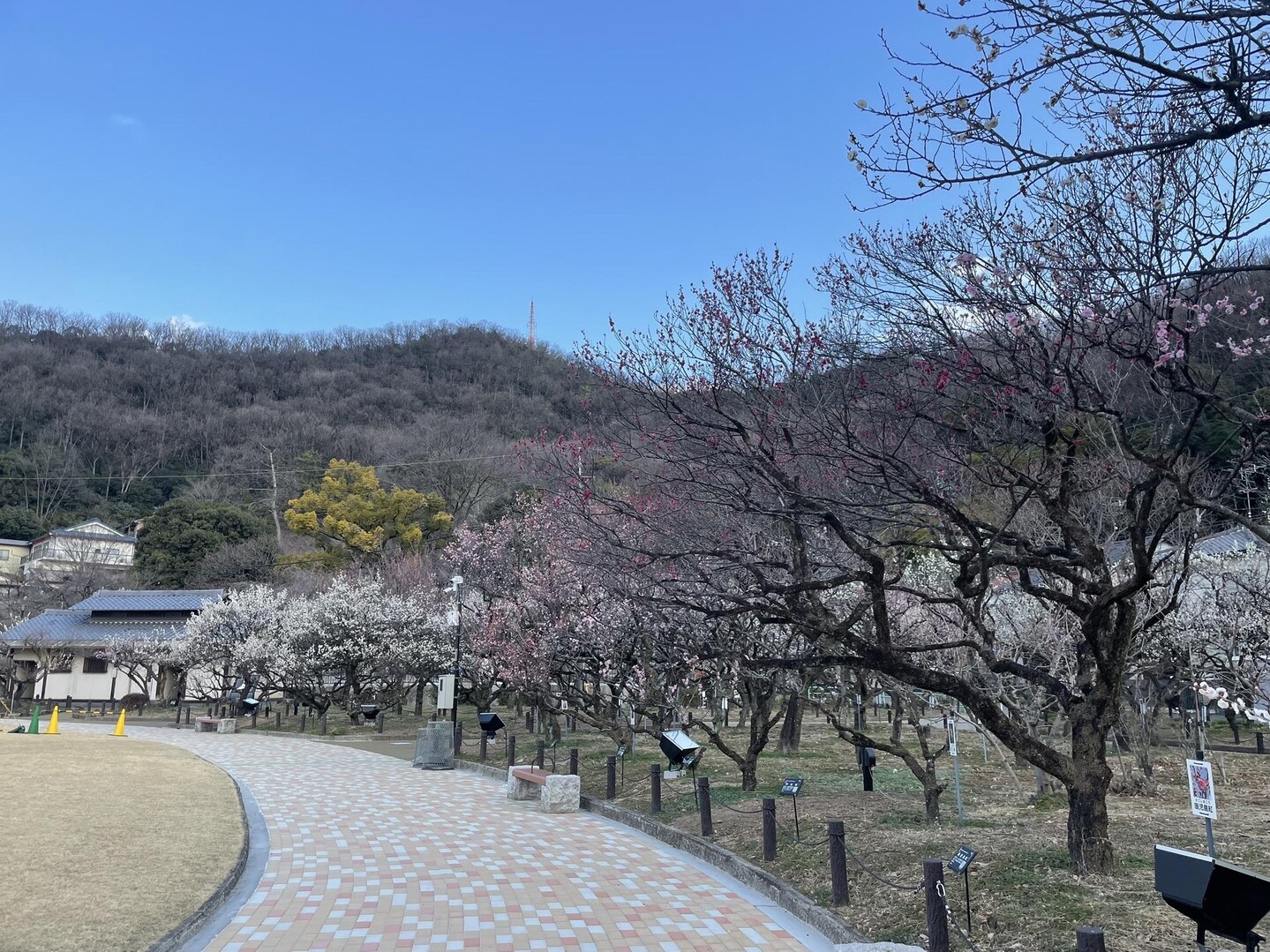 瑞龍寺山 / kazueさんの岐阜市の活動データ | YAMAP / ヤマップ