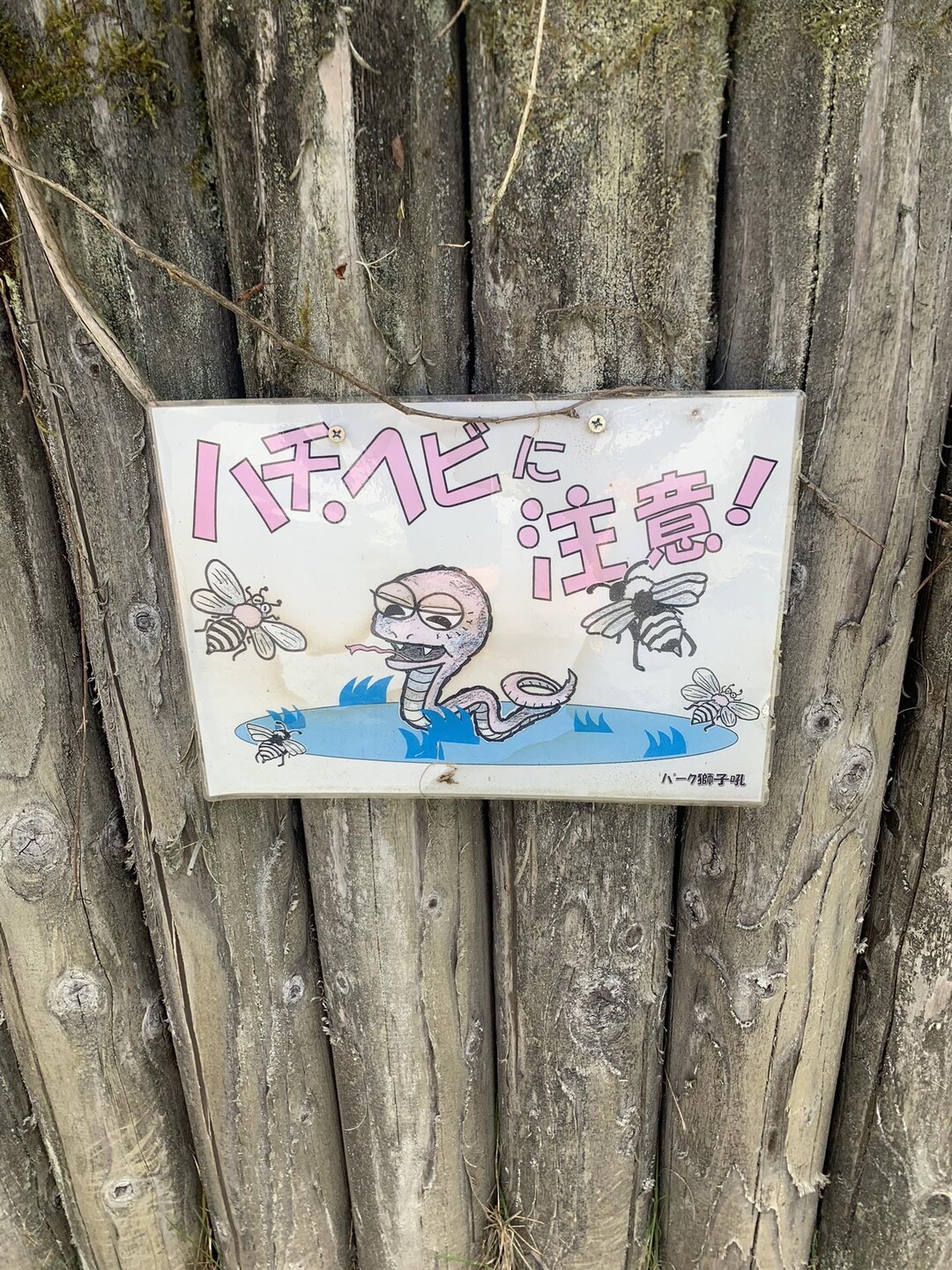 リハビリ8(月惜小屋) 天候晴気温32度 / Zi→tuさんの奥獅子吼山・口三方岳・烏帽子山の活動データ | YAMAP / ヤマップ