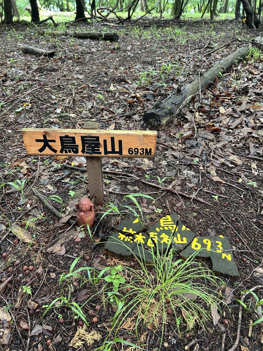 大鳥屋山 / yuu39さんの大鳥屋山・岳ノ山の活動データ | YAMAP / ヤマップ