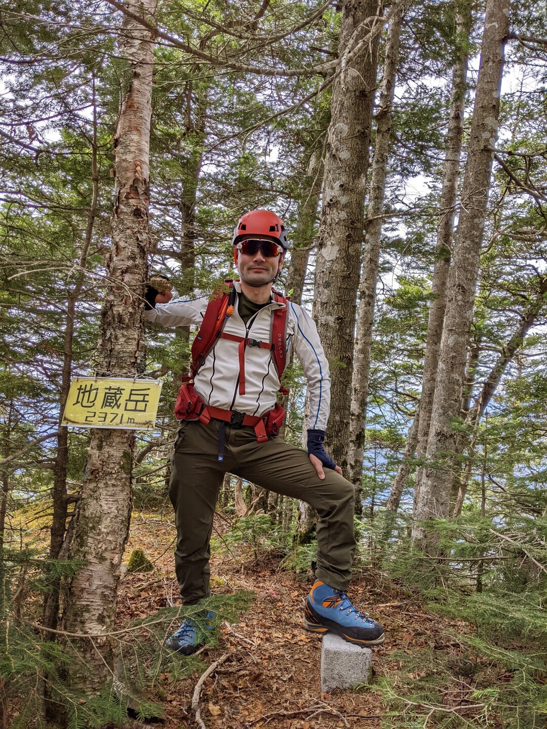 地蔵岳(仙丈ヶ岳撤退) / yasu1979さんの仙丈ヶ岳・伊那荒倉岳の活動データ | YAMAP / ヤマップ