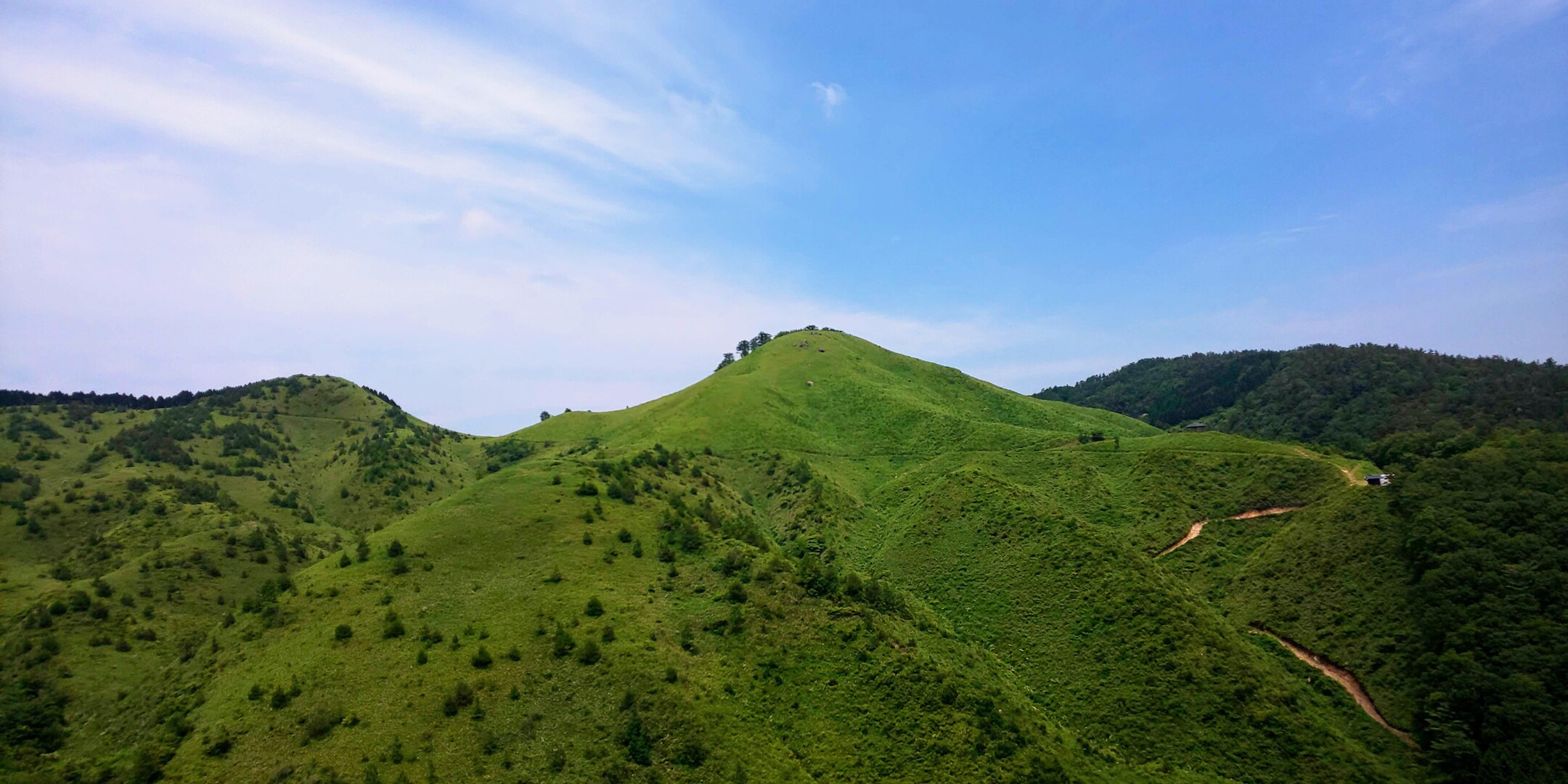 緑の絨毯 雲月山 / meru2209さんの雲月山・大潰山・大佐山の活動日記 | YAMAP / ヤマップ