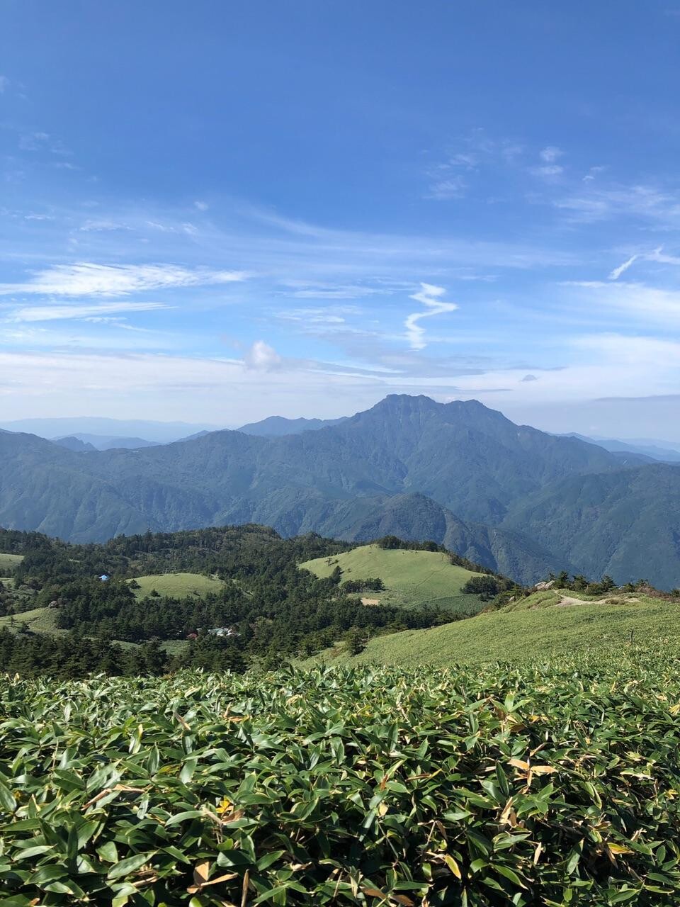 Miiのページ | YAMAP / ヤマップ