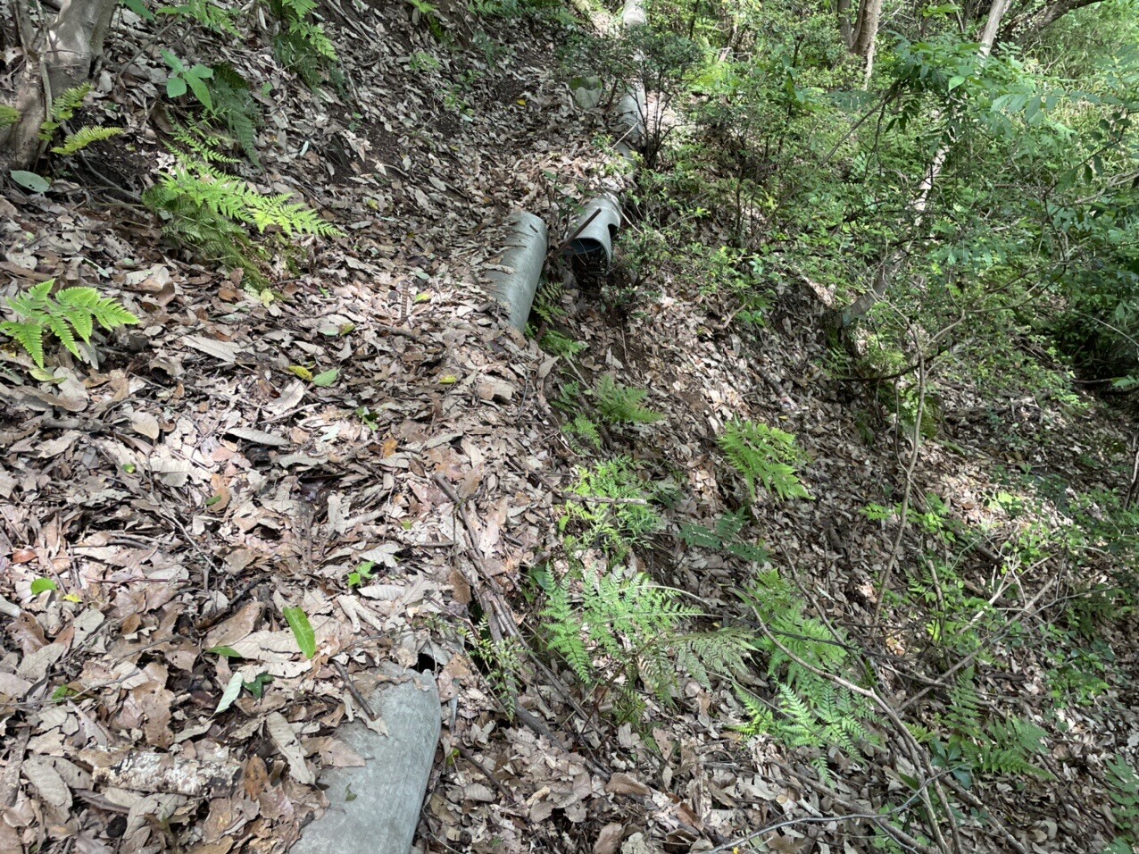 hello beakさんの投稿したフィールドメモ | YAMAP / ヤマップ