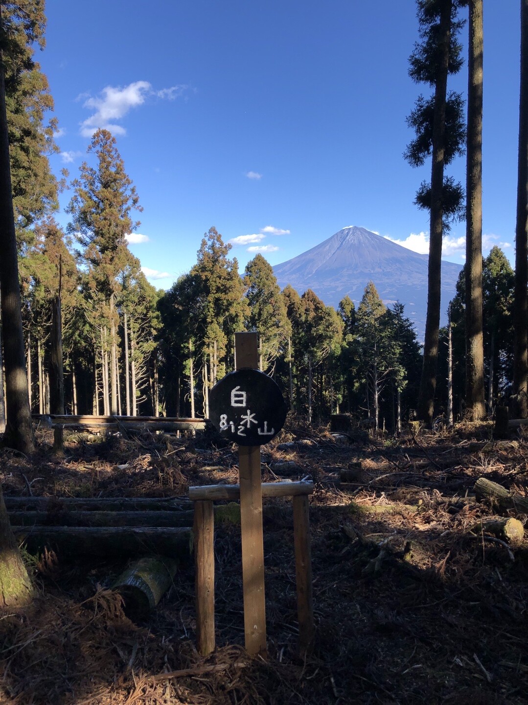 白水山(柿元ダム〜ピストン) / Co-CHeさんの白水山の活動データ | YAMAP / ヤマップ