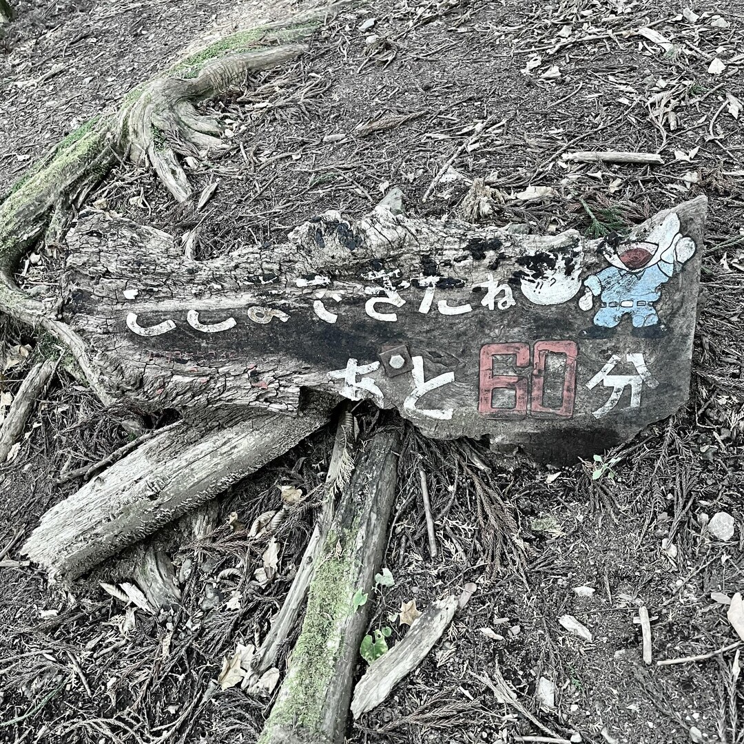 武甲山の山頂まで往復するだけ / うえのさんの武甲山・伊豆ヶ岳・小持山の活動データ | YAMAP / ヤマップ