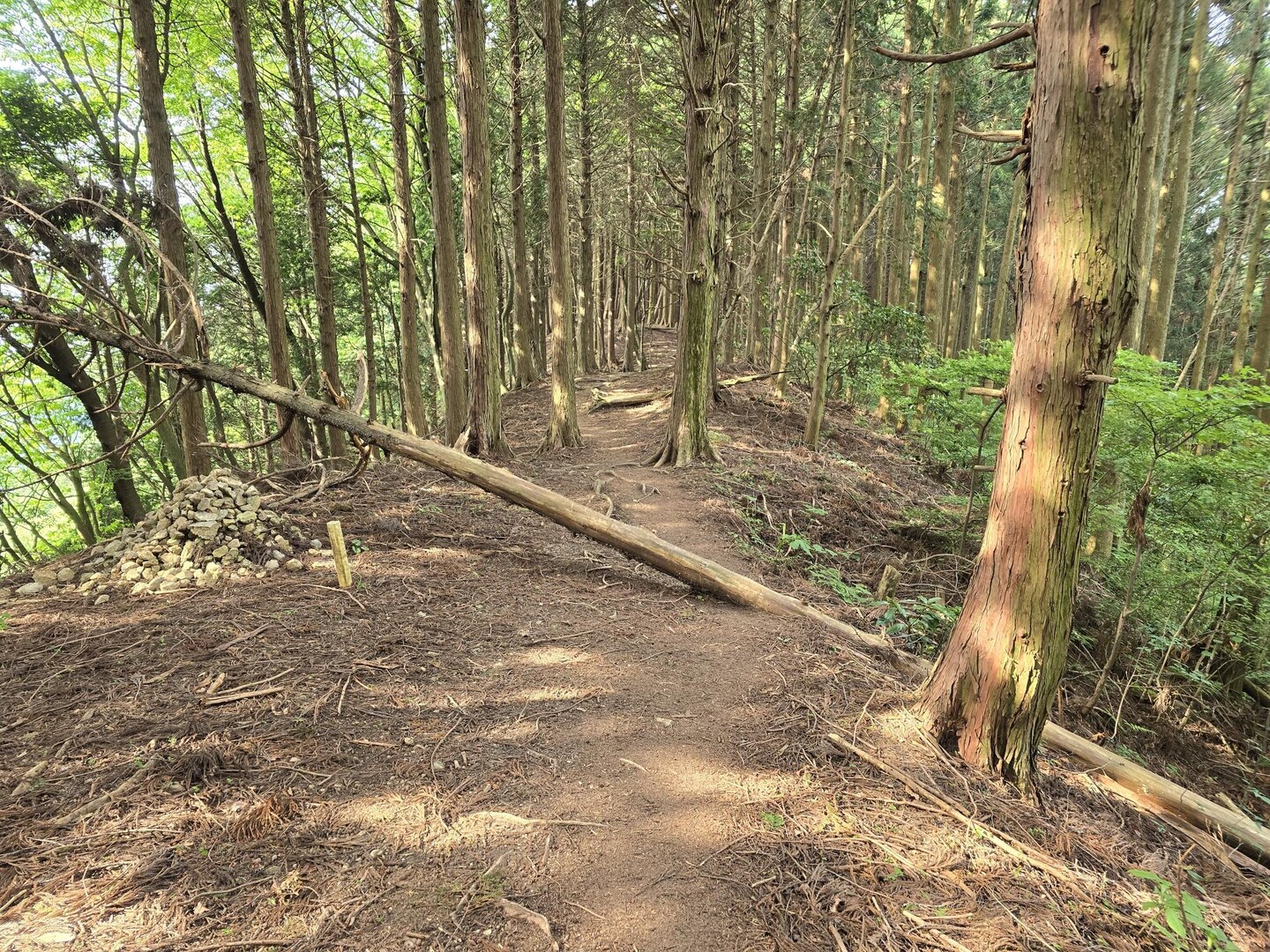 Kohjiさんの投稿したフィールドメモ | YAMAP / ヤマップ