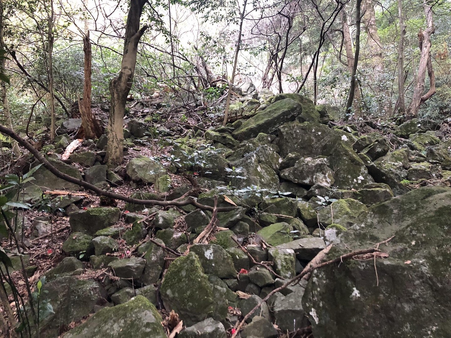 坊主山・筑波山（男体山）・筑波山（女体山） / krnさんの筑波山の活動データ | YAMAP / ヤマップ