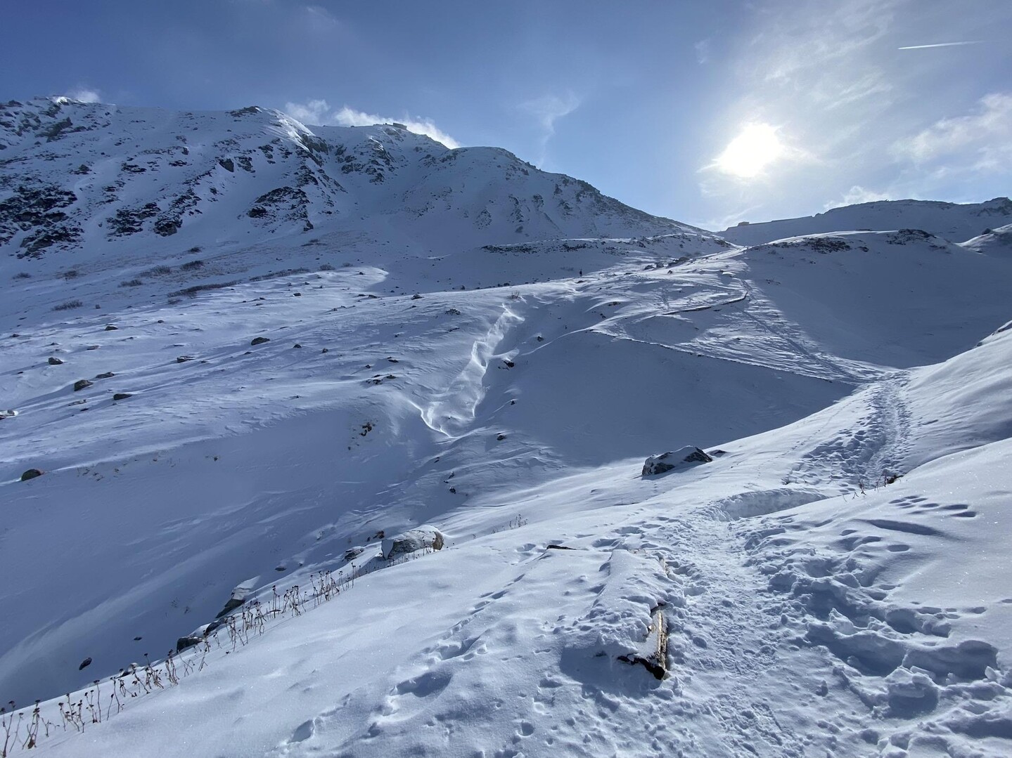 立山雄山 ️撤退 / miuさんの立山・雄山・浄土山の活動日記 | YAMAP / ヤマップ