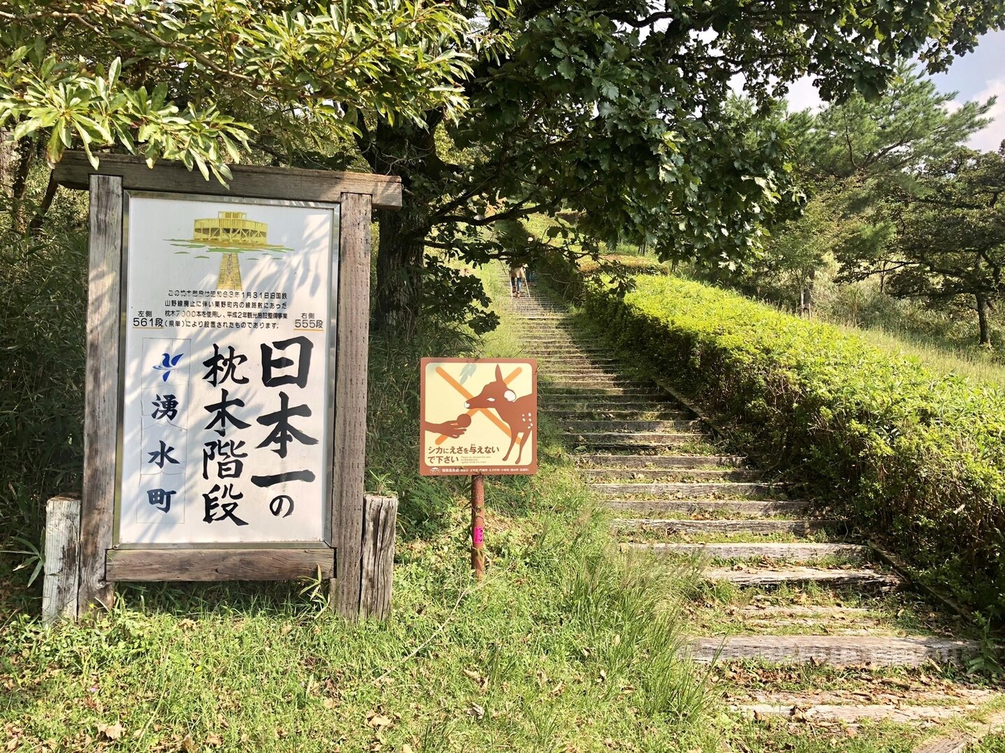 petit縦走💨栗野岳第2峰~栗野岳 / Red-RAV4💫さんの栗野岳・日添岳・えびの岳の活動データ | YAMAP / ヤマップ