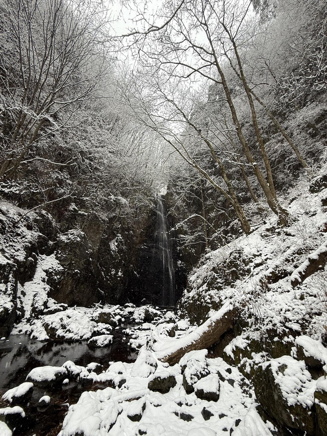 ちょっと雪山登山ごっこをしたかっただけなんですw で、百尋ノ滝と川苔山へ / katsu-uさんの川苔山（川乗山）の活動日記 | YAMAP / ヤマップ