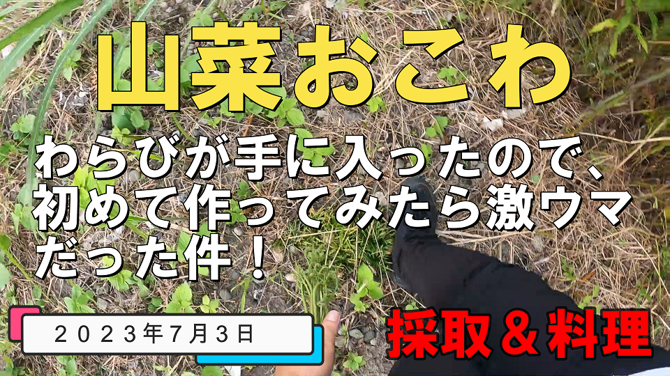 え～と、謎の「山菜おこわ」の動画です。(... / Kyoheiさんのモーメント | YAMAP / ヤマップ
