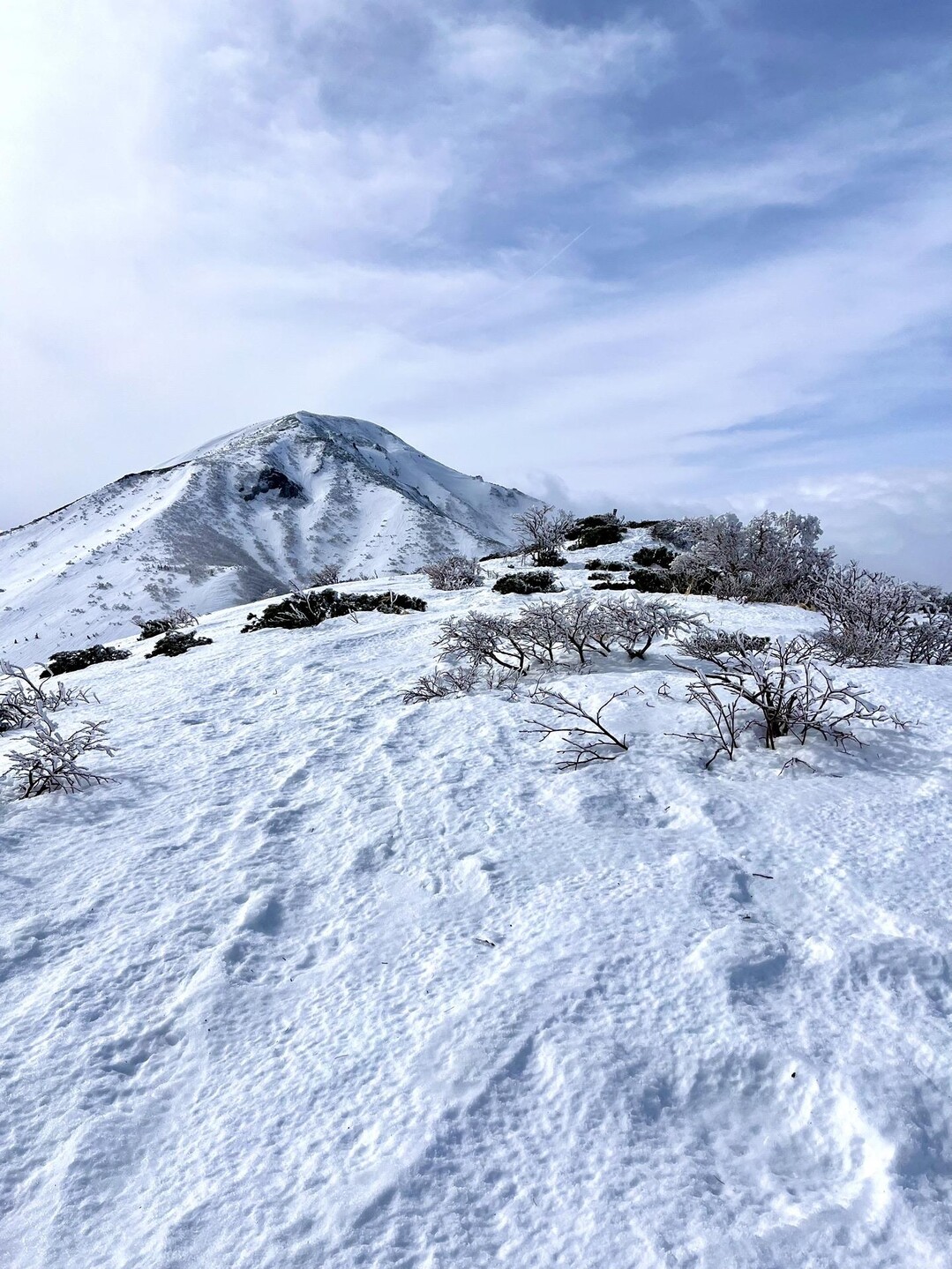 雛岳BC 02-20 / SHOさんの八甲田山・高田大岳・雛岳の活動データ | YAMAP / ヤマップ