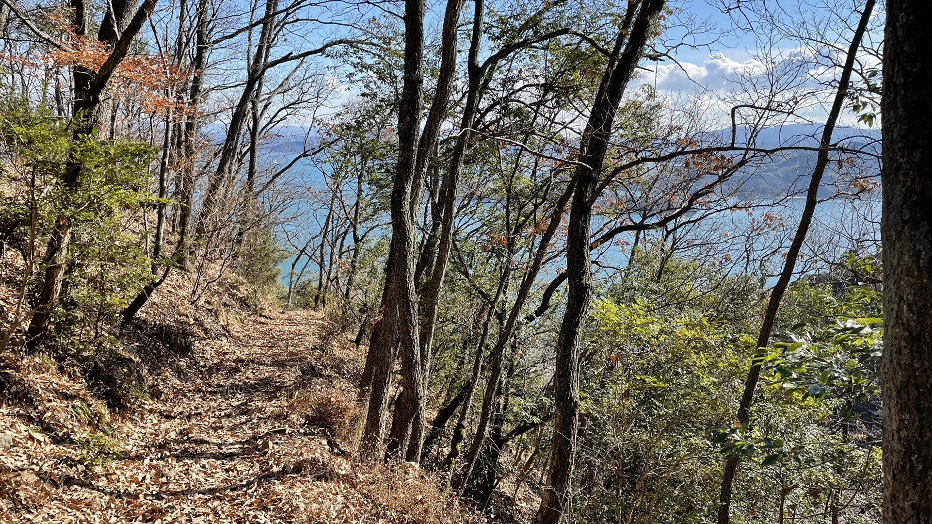 shiryoさんの投稿したフィールドメモ | YAMAP / ヤマップ