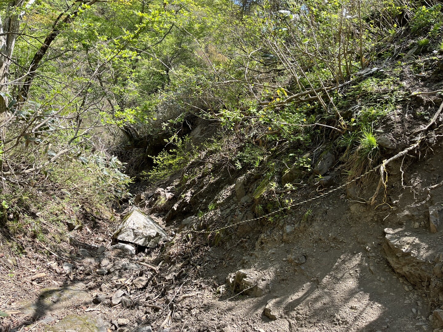 greenmoonきくちゃんさんの投稿したフィールドメモ | YAMAP / ヤマップ