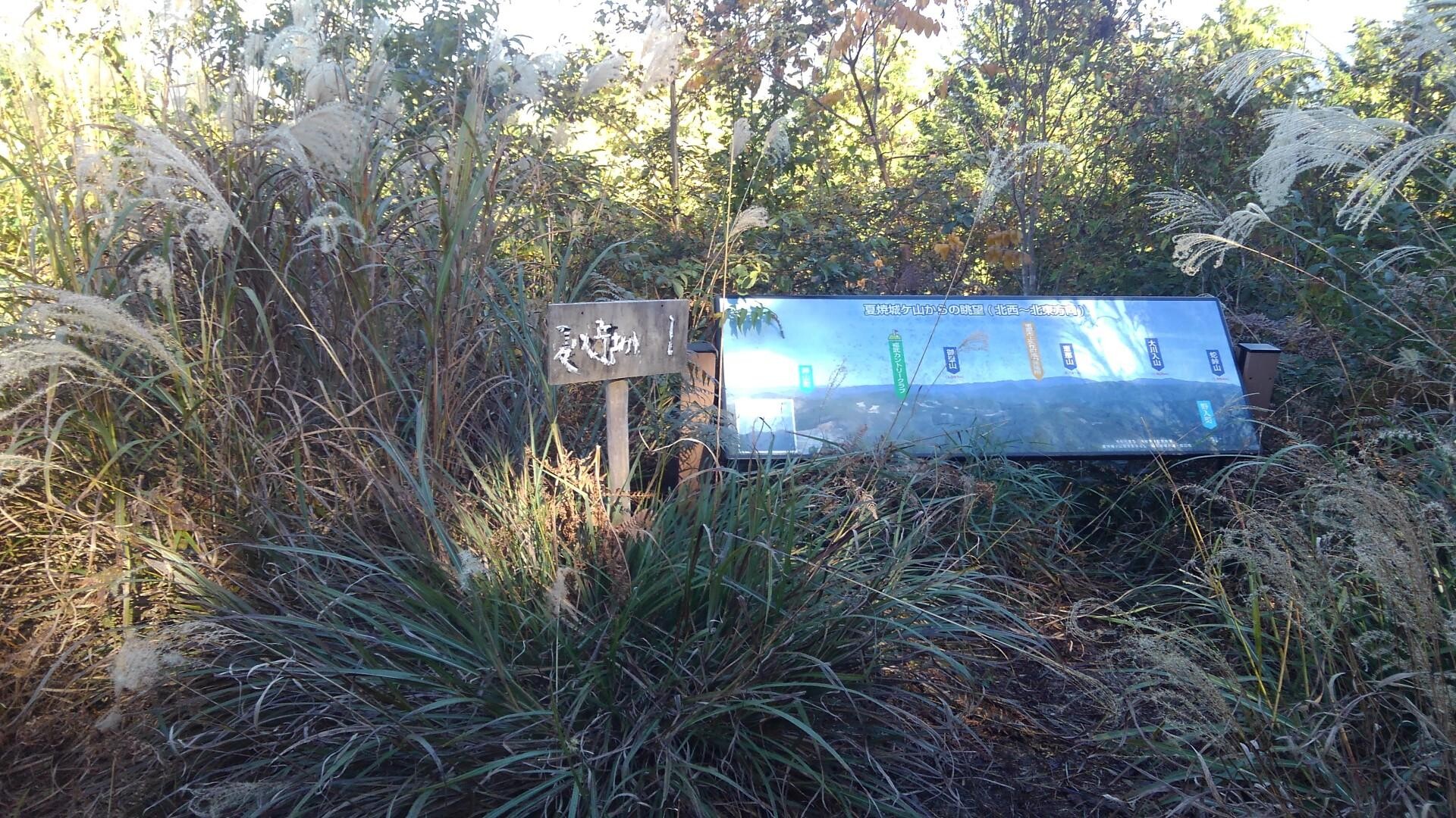 まだ紅葉には少し早いかな。夏焼城ヶ山 / nobu2🦩さんの夏焼城ヶ山・月ヶ平の活動データ | YAMAP / ヤマップ