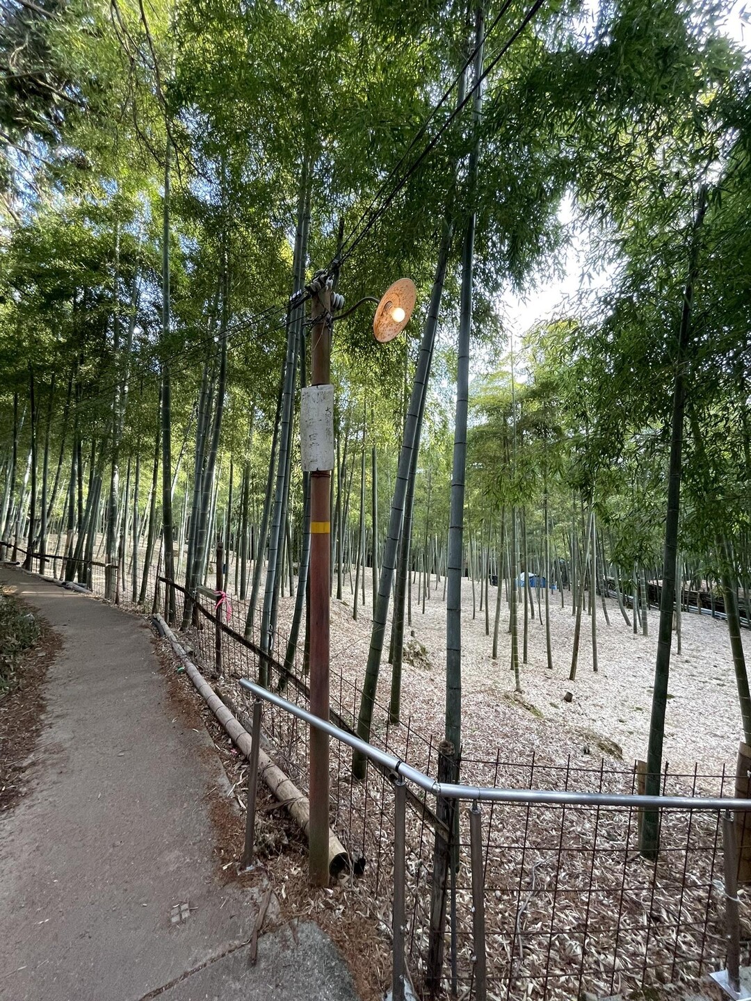 tsk-chaponさんの投稿したフィールドメモ | YAMAP / ヤマップ