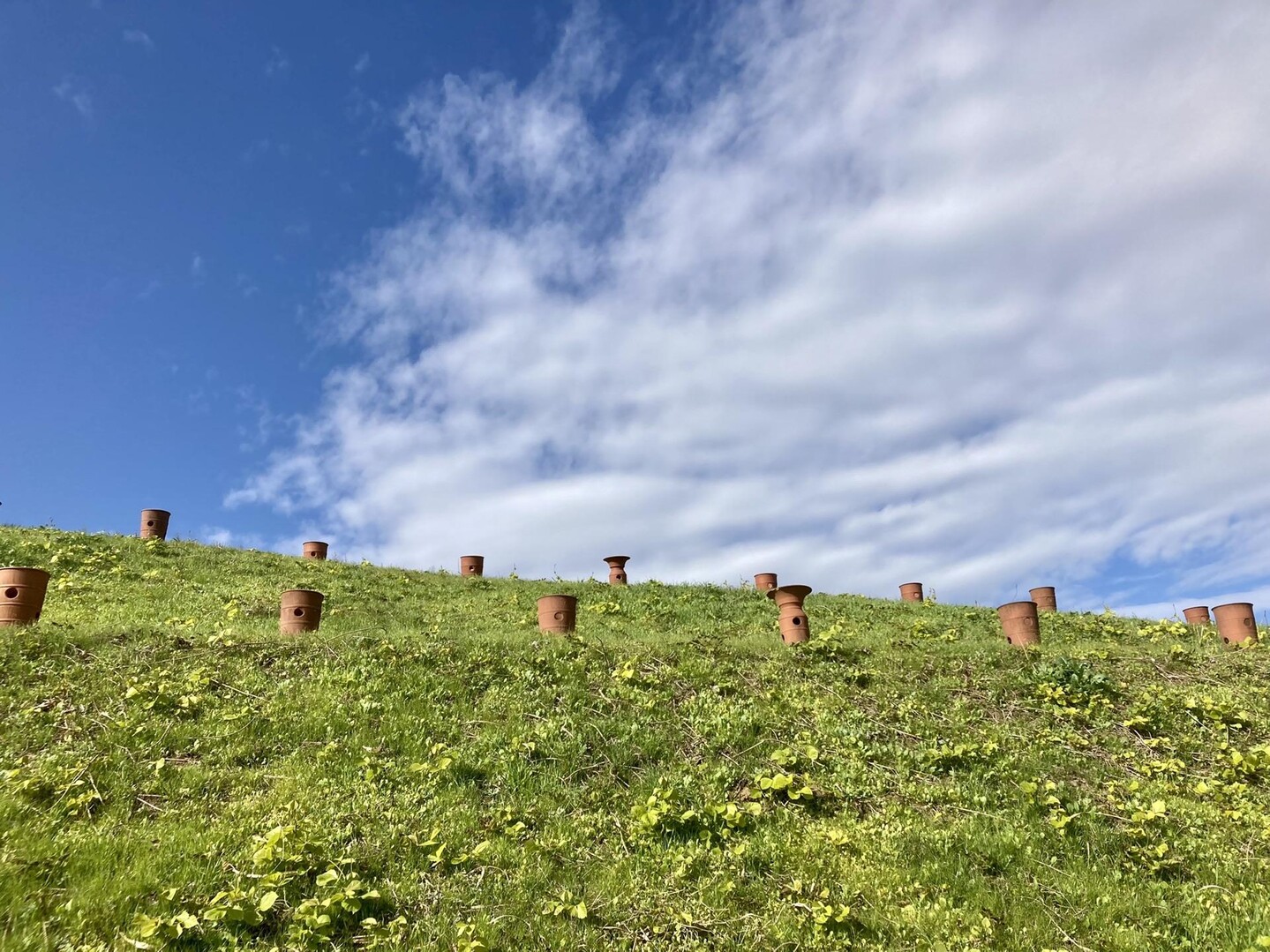 さきたま古墳公園からの前玉神社を散策🚶‍♂️💨 / Ozanさんの熊谷市の活動データ | YAMAP / ヤマップ