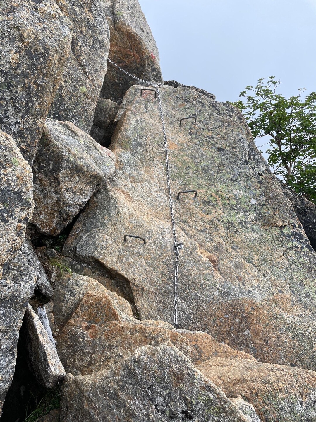 ko-さんの投稿したフィールドメモ | YAMAP / ヤマップ