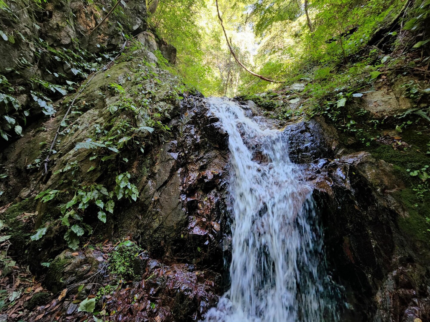Tantalさんの投稿したフィールドメモ | YAMAP / ヤマップ