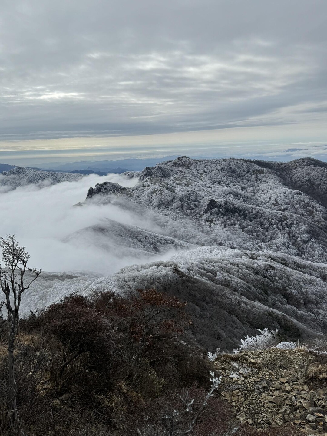 祖母山 / Niroさんの祖母山の活動データ | YAMAP / ヤマップ