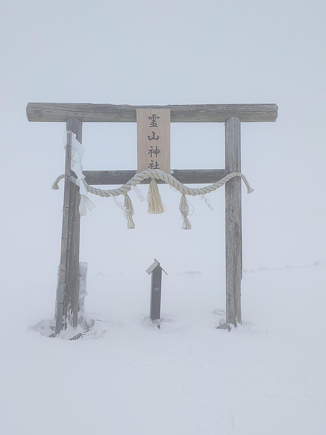 霊仙山 / R.hondaさんの霊仙山の活動データ | YAMAP / ヤマップ