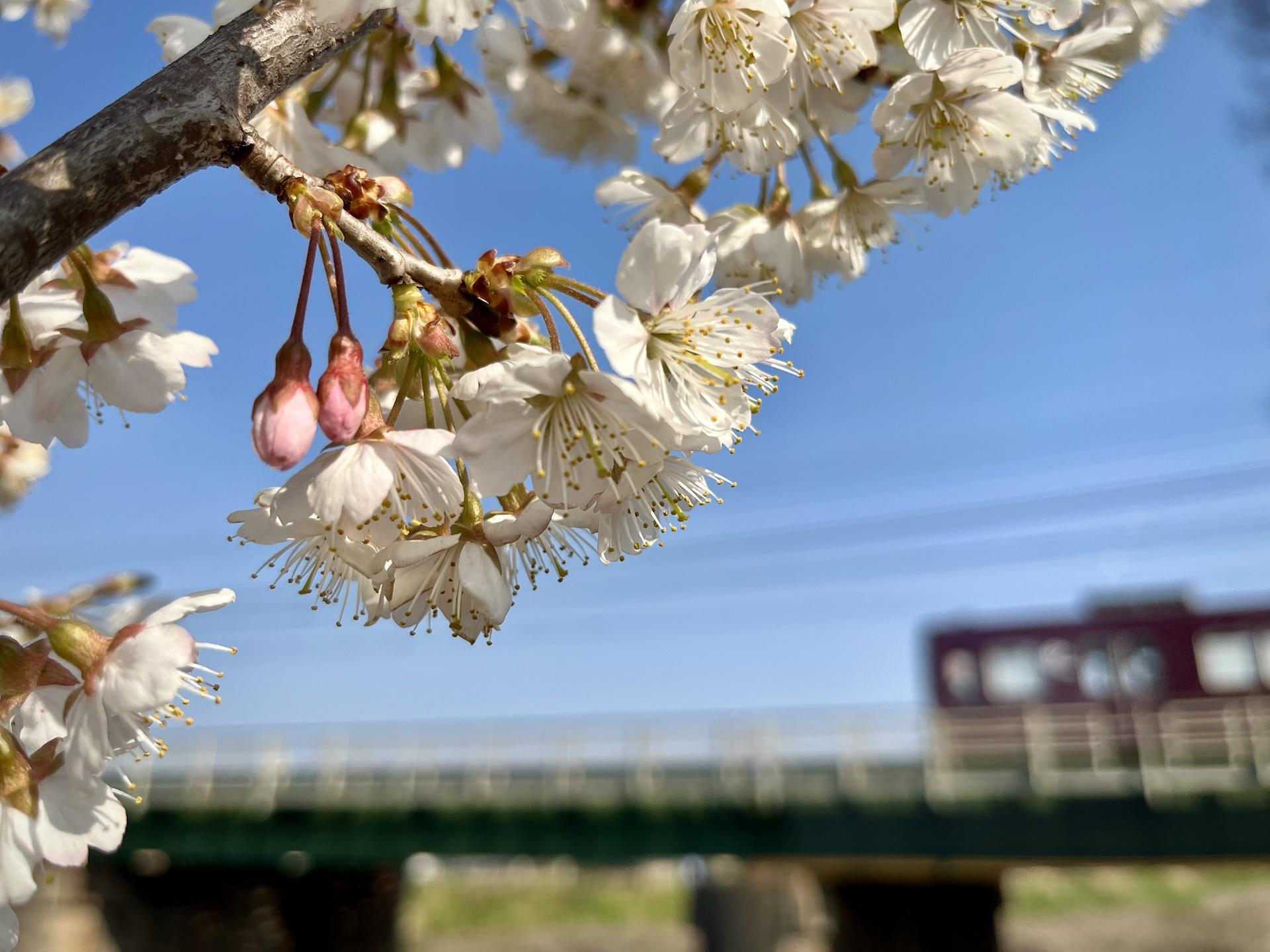 久々にRUNにて / ュゥさんのモーメント | YAMAP / ヤマップ