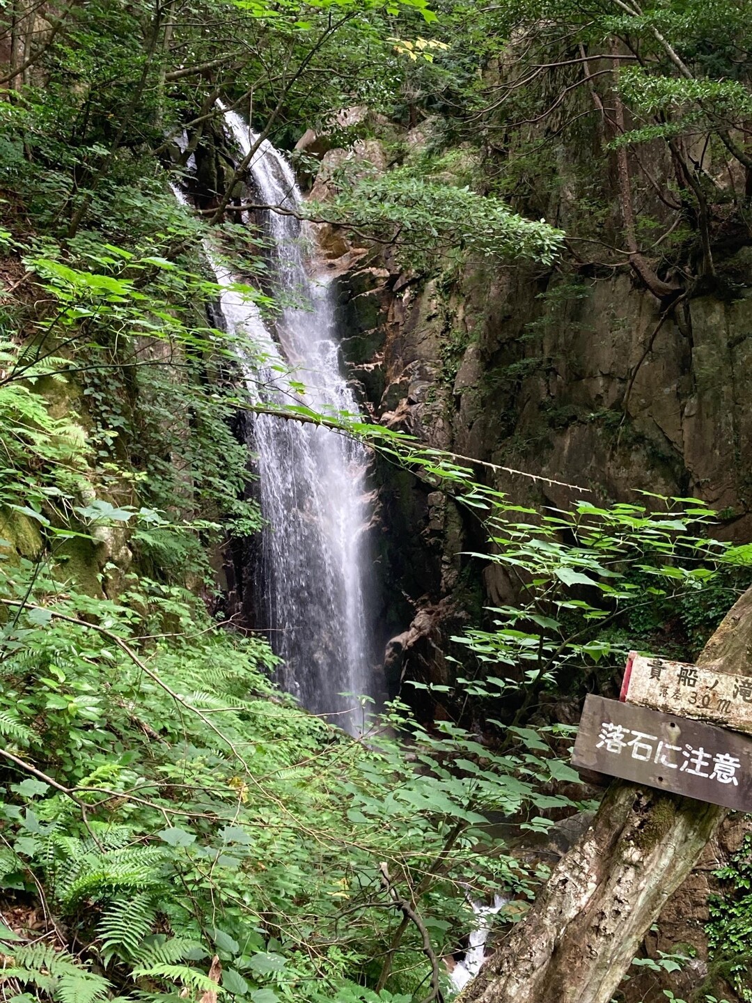 R5.8.5 八ツ淵の滝から武奈ヶ岳 / こじかさんの比良山地・武奈ヶ岳・釈迦岳の活動データ | YAMAP / ヤマップ