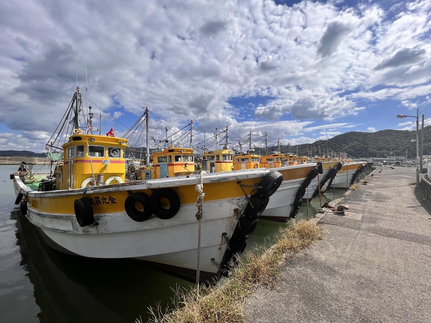 ランニング-2023-10-21 / Jack maさんのランニングの活動データ | YAMAP / ヤマップ