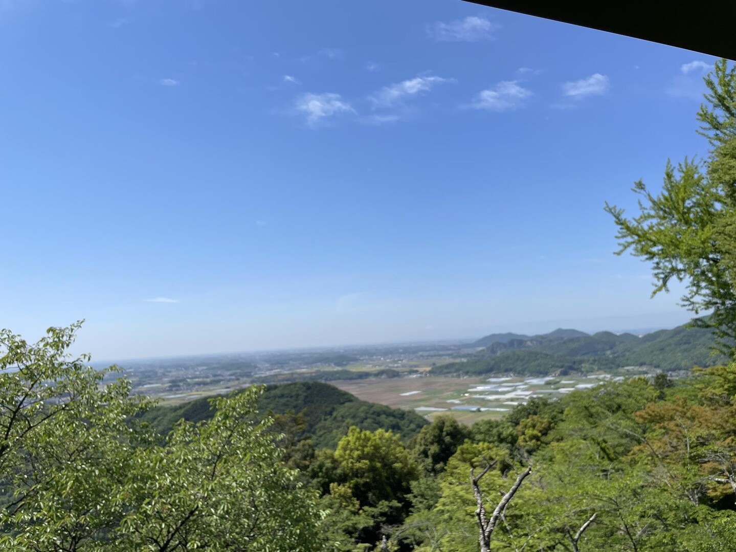 太平山（大中寺-ぐみの木峠-太平山神社） / serickさんの太平山・晃石山・唐沢山の活動データ | YAMAP / ヤマップ