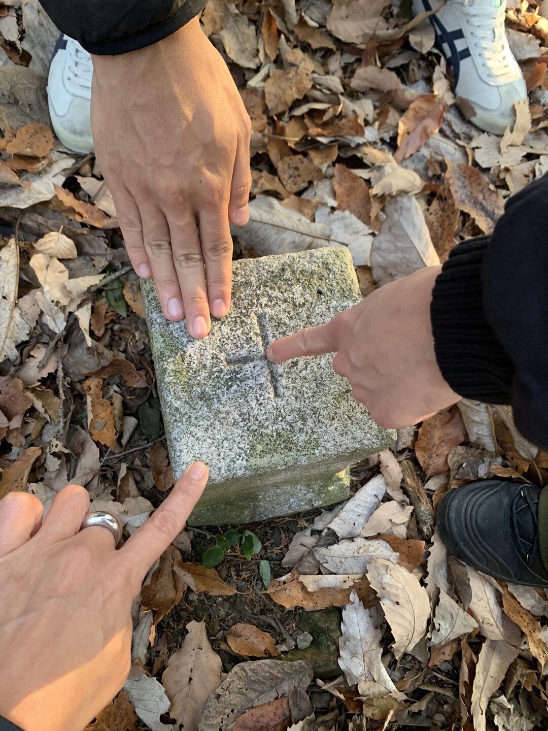 『息子との初一座』立木山 / rokoさんの立木山・袴腰山の活動データ | YAMAP / ヤマップ