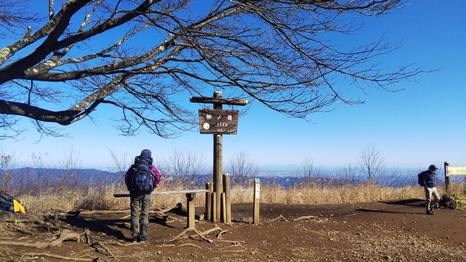 棒ノ嶺（棒ノ折山） / mametakaさんの棒ノ折山（棒ノ嶺）の活動データ | YAMAP / ヤマップ