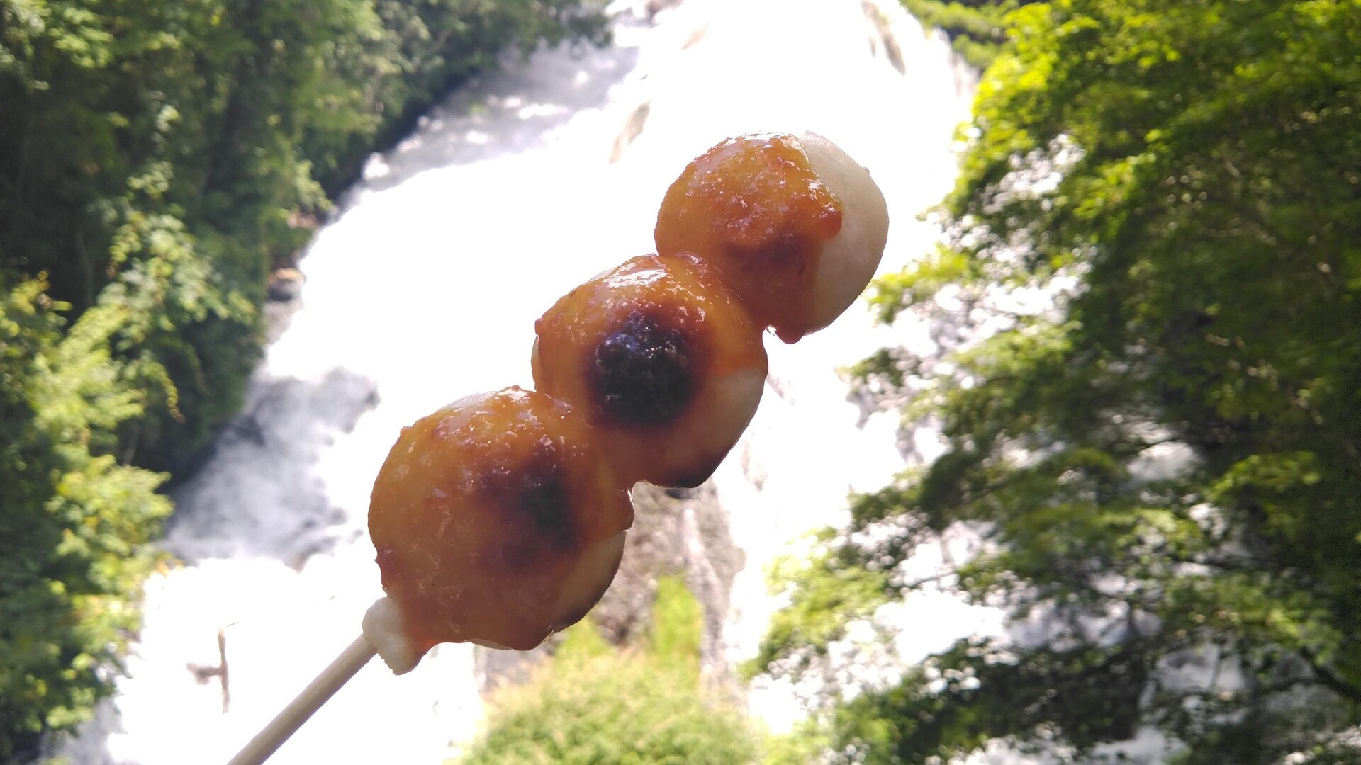 戦場ヶ原！湯ノ湖！ / kohirouさんの男体山の活動日記 | YAMAP / ヤマップ