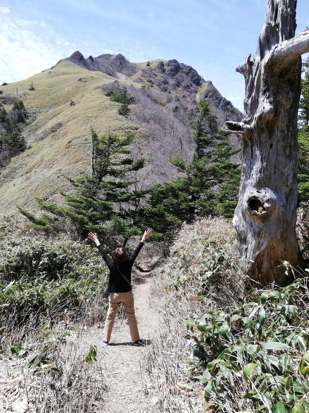 UFO ライン 伊吹山 にこ淵 / anneさんの石鎚山・堂ヶ森・二ノ森の活動データ | YAMAP / ヤマップ
