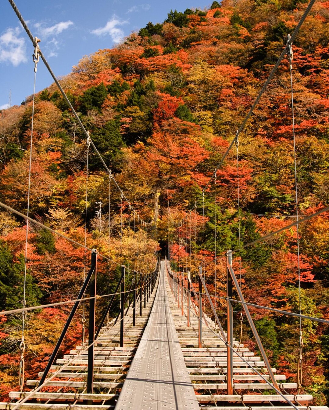 茶臼岳・上河内岳 / RSさんの聖岳・大沢岳・光岳の活動日記 | YAMAP / ヤマップ