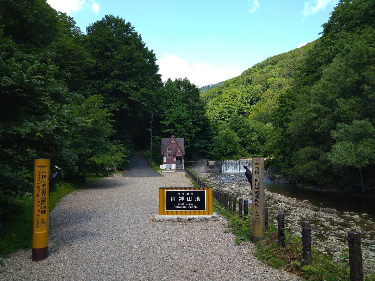 白神山地散策 2024-06-27 / Linさんの登山の活動データ | YAMAP / ヤマップ