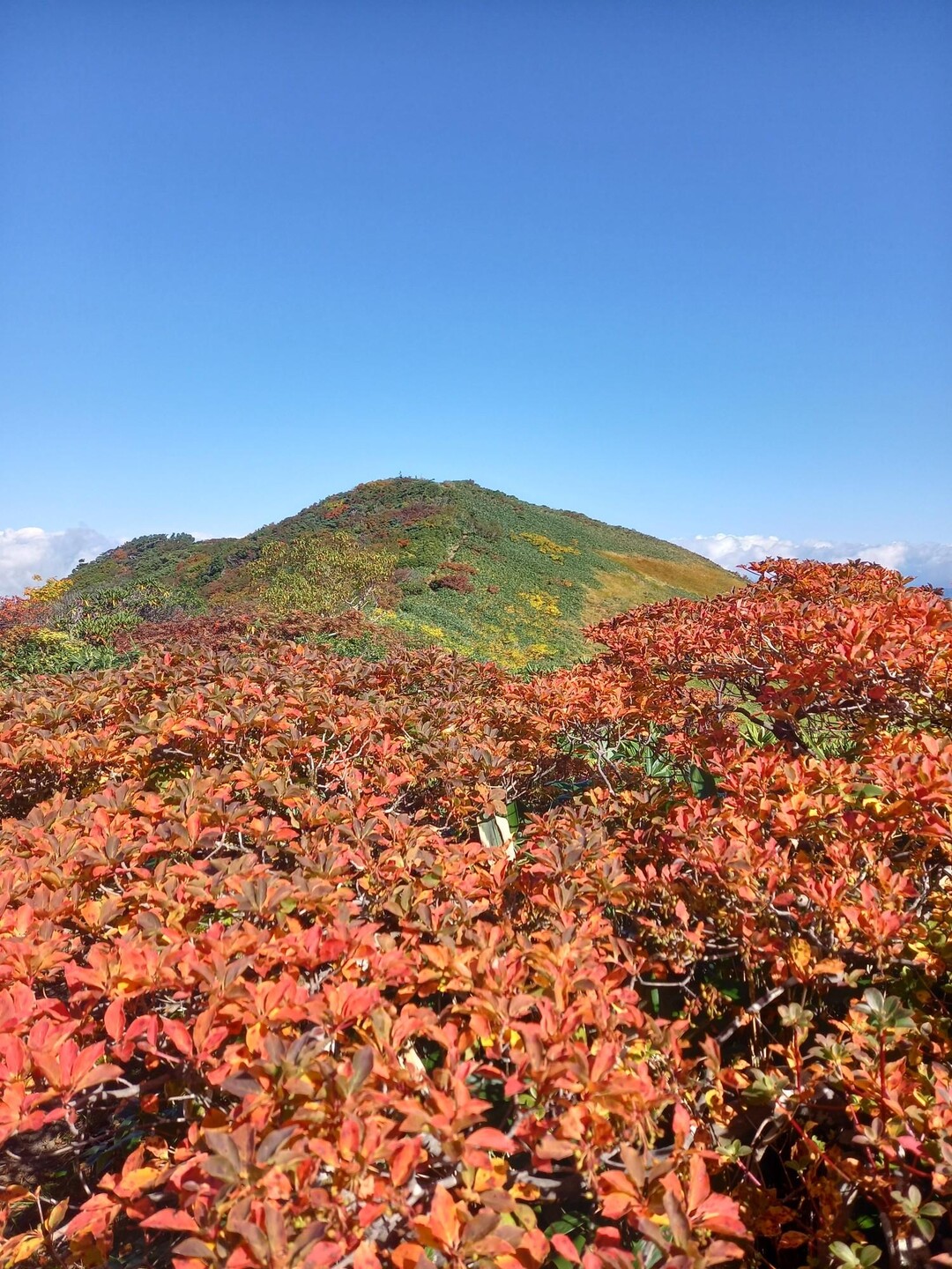 越後駒ヶ岳 / Seigoさんの越後駒ヶ岳・八海山・中ノ岳の活動データ | YAMAP / ヤマップ