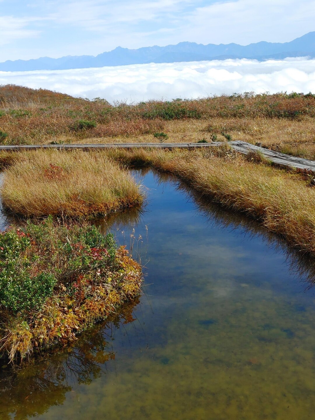 R 6 10 24(木)・白木峰・浮島の池 / むらの山ちゃんさんの白木峰・小白木峰の活動データ | YAMAP / ヤマップ