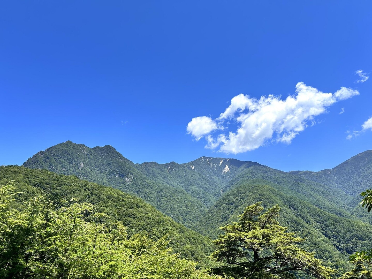 涼 西沢渓谷 / mieeさんの甲武信ヶ岳の活動データ | YAMAP / ヤマップ