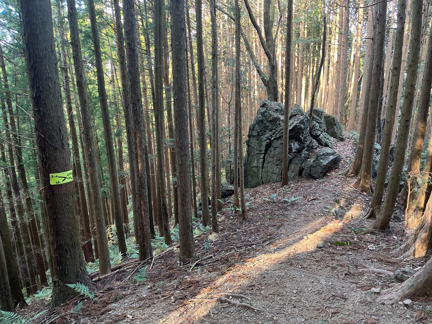 ちなさんさんの投稿したフィールドメモ | YAMAP / ヤマップ