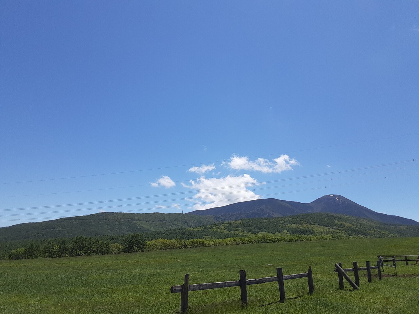 蓼科第2牧場です。ソフトクリームはさっぱ... / mokoさんのモーメント | YAMAP / ヤマップ